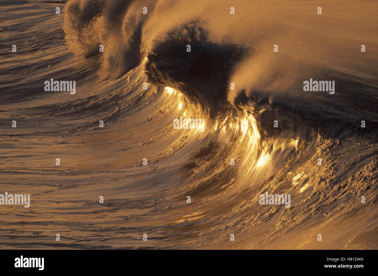 Waves, Baja California, Mexico Stock Photo - Alamy