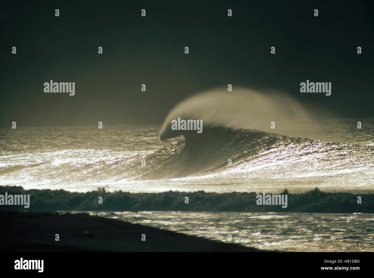 Waves, late afternoon surf, North Shore of Oahu, Hawaii Stock Photo - Alamy