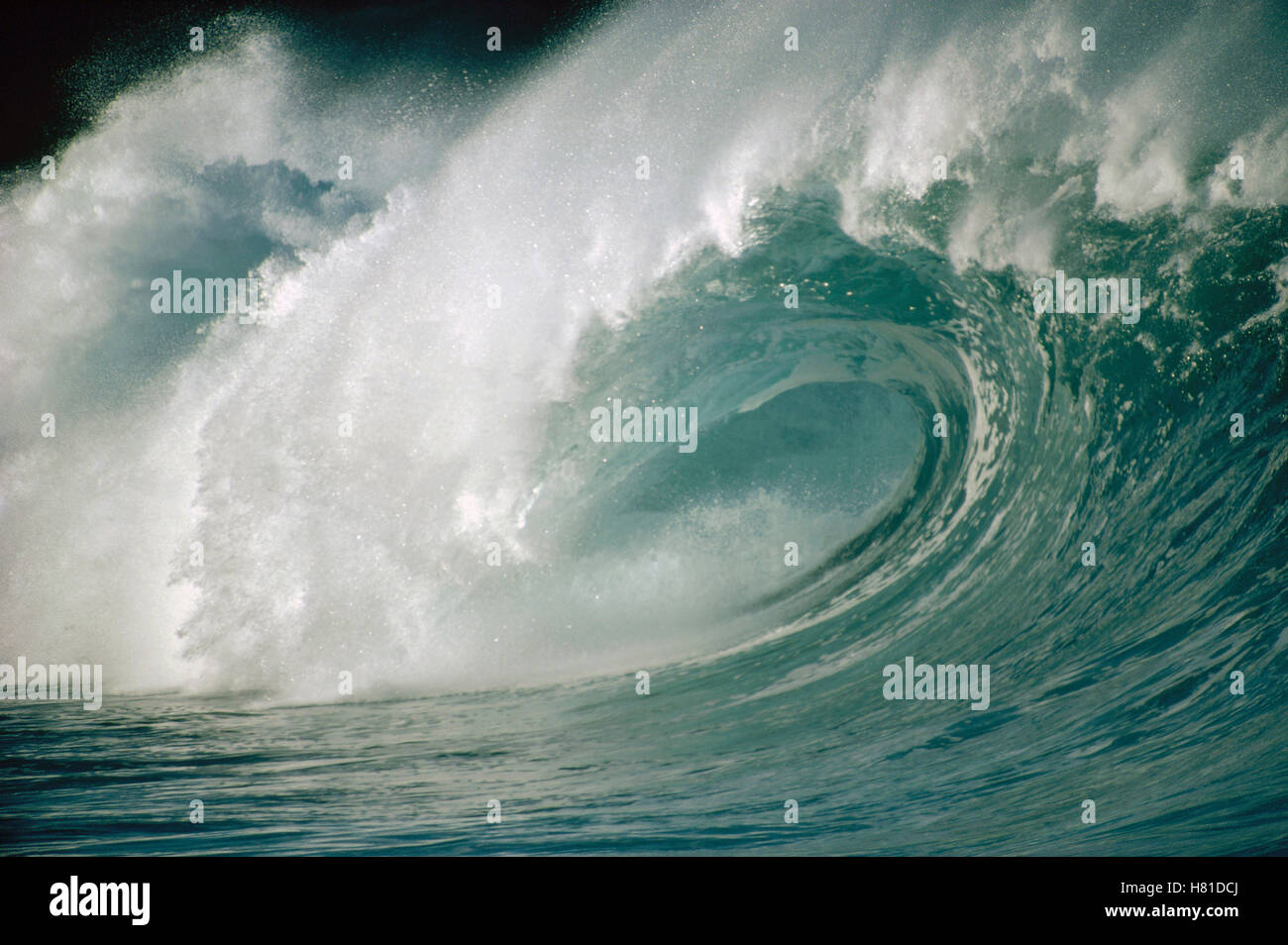 Wave at peak, Waimea shorebreak, Oahu, Hawaii Stock Photo - Alamy
