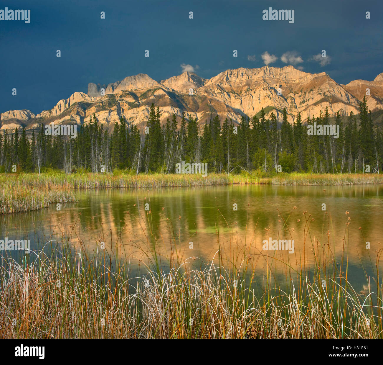 Miette Range and Talbot Lake, Jasper National Park, Alberta, Canada ...