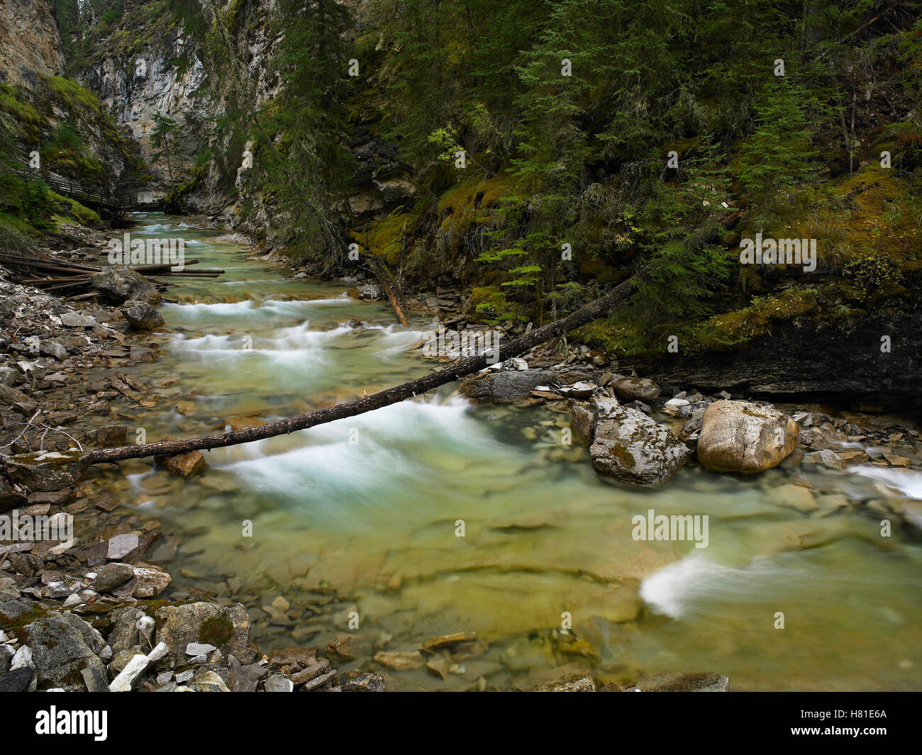 Creek in Johnston Canyon, Banff National Park, Alberta, Canada Stock ...