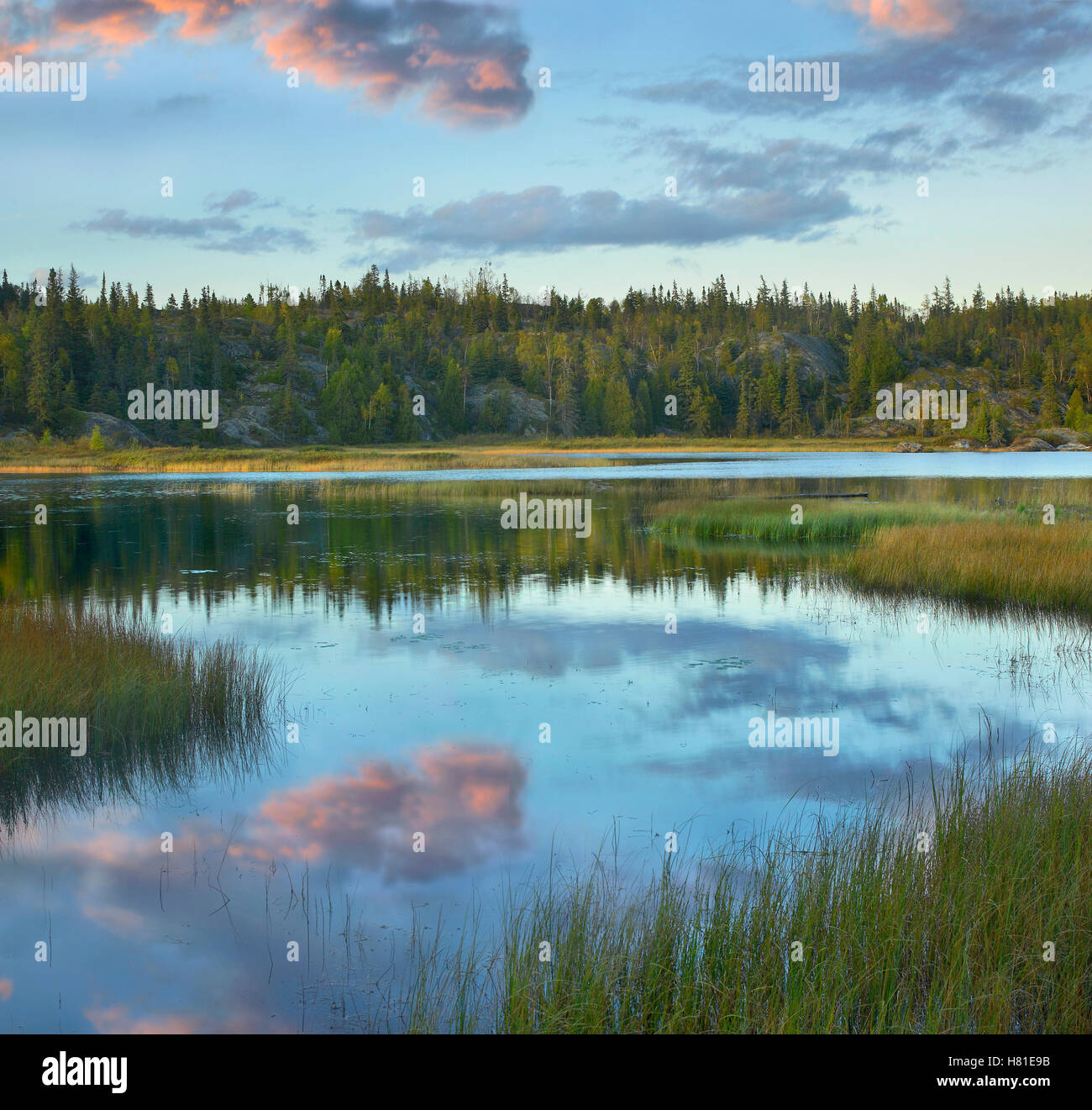 Halfway Lake, Pukaskwa National Park, Ontario, Canada Stock Photo - Alamy