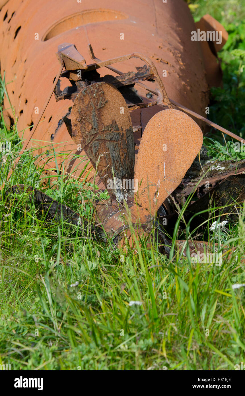 Alaska, Aleutian Island Chain, Rat Islands, Kiska Island (Aleutian ...