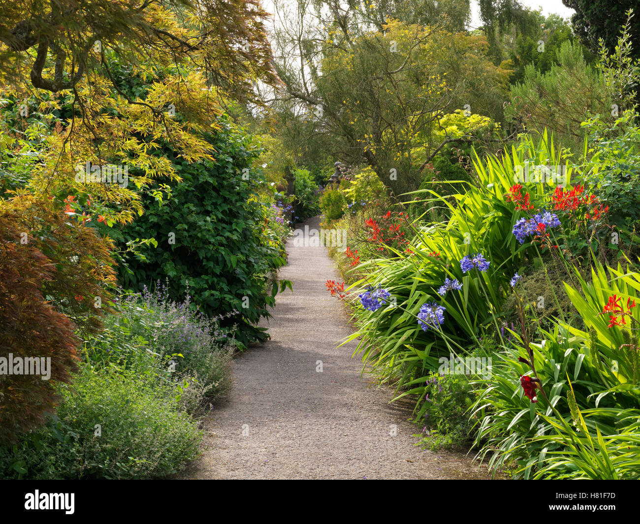 Path through garden, England Stock Photo - Alamy Path through garden, England Stock Photo - Alamy