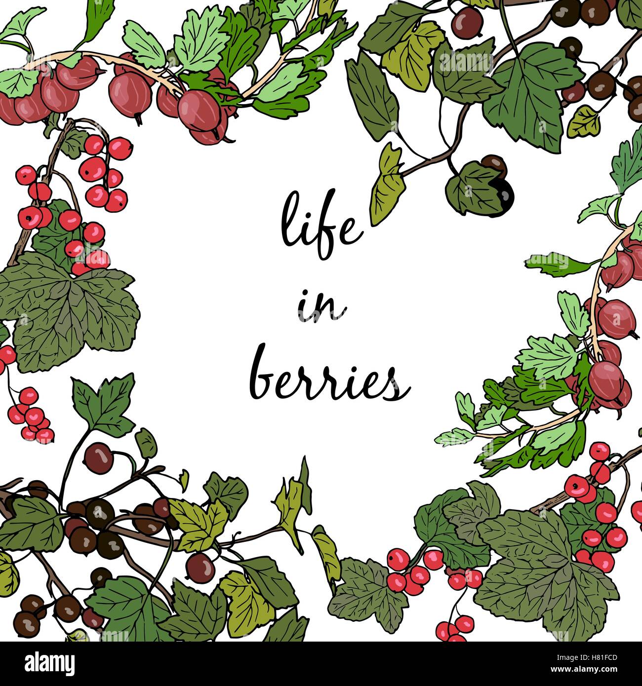 Black currant background Stock Vector Images - Alamy