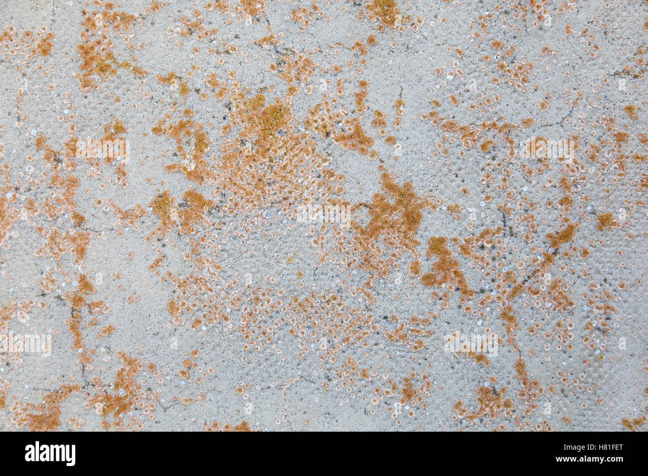 Stained concrete block wall background Stock Photo - Alamy
