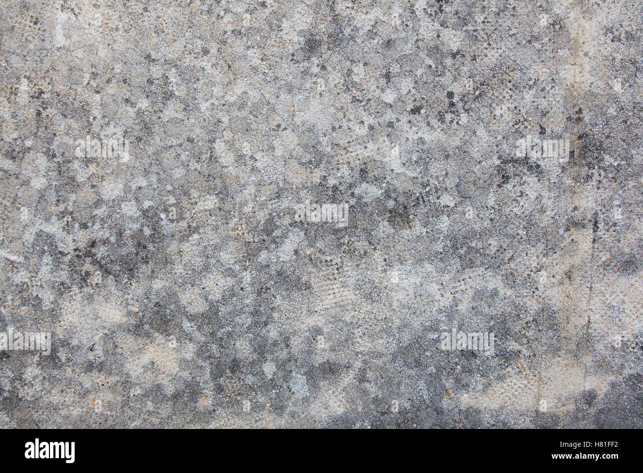 Concrete block wall hi-res stock photography and images - Alamy