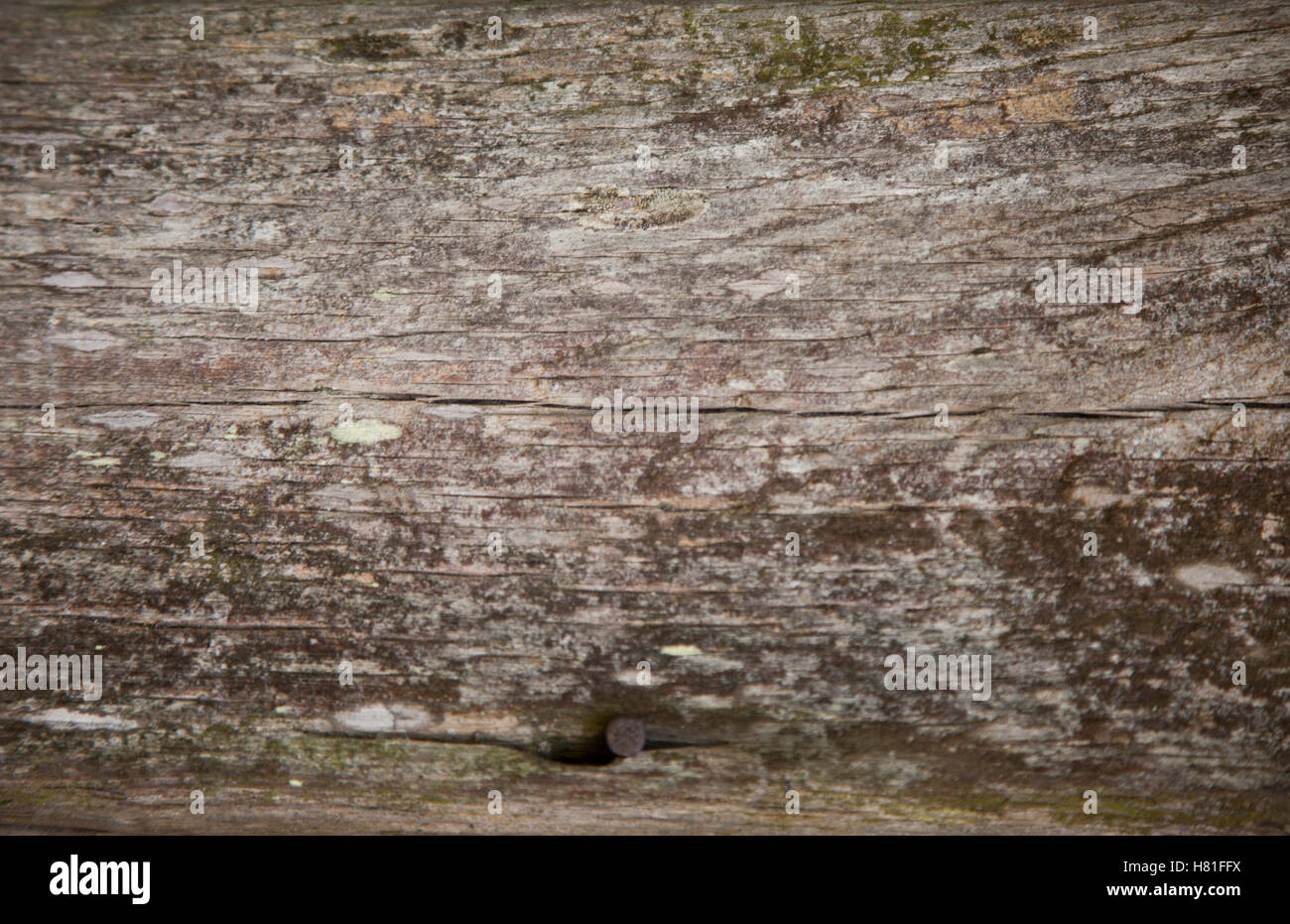 Rustic wooden board background Stock Photo - Alamy