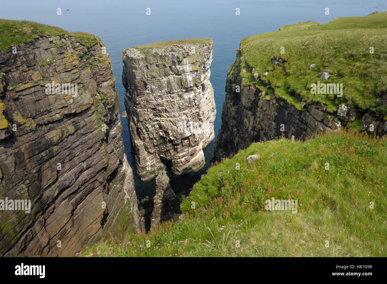 Cliffs of Handa Island, Tarbet, Scotland Stock Photo - Alamy