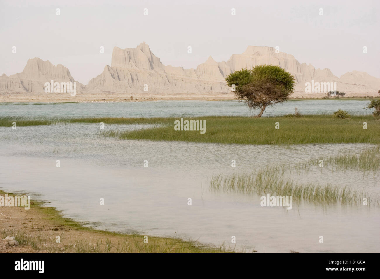 Seasonal marsh formed in the desert after heavy winter rain, Iran Stock ...