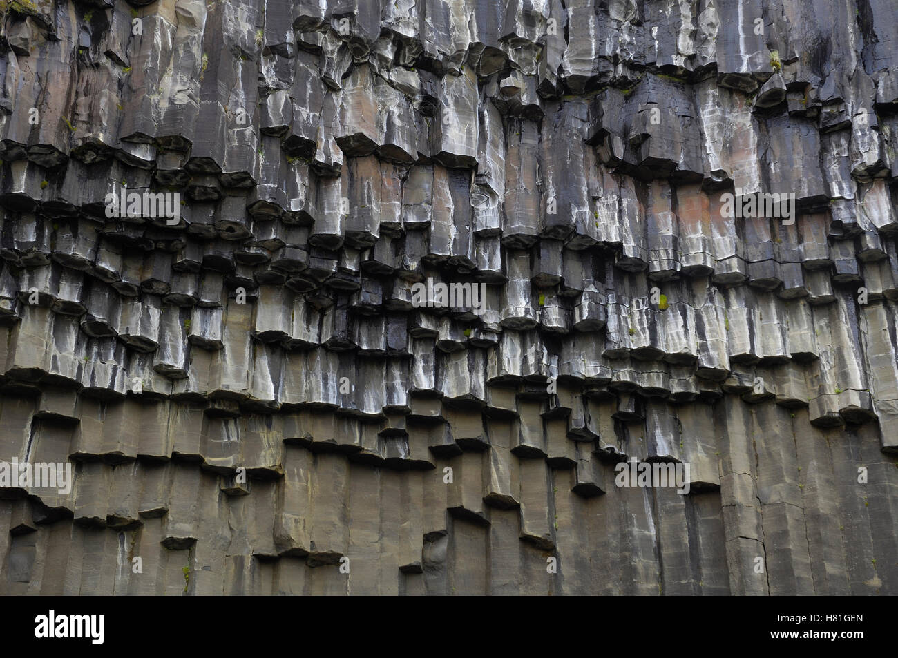 Columnar basalt formation, Svartifoss Waterfall, Iceland Stock Photo ...