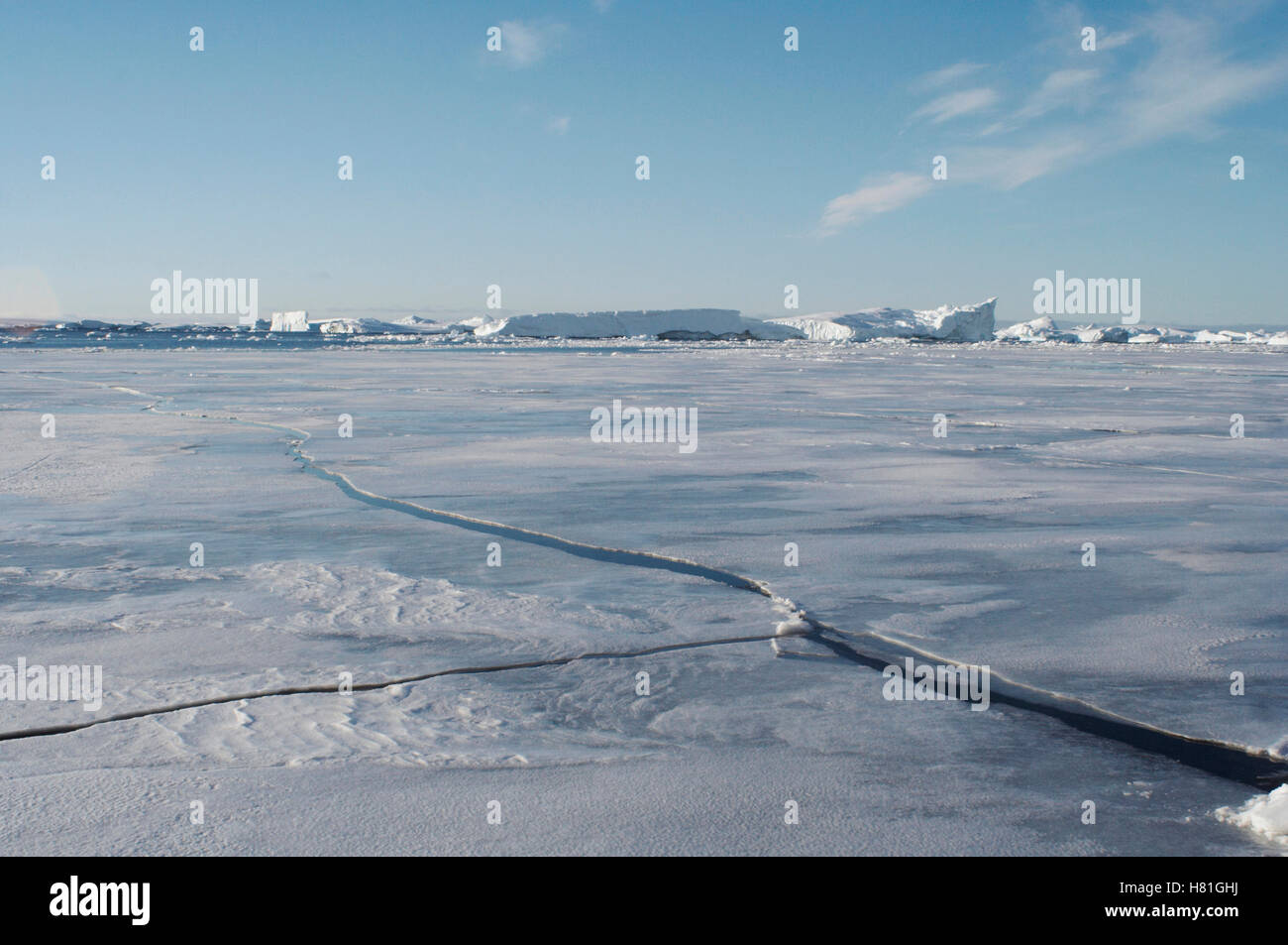 Cracks in melting pack ice, Port Charcot, Antarctica Stock Photo - Alamy