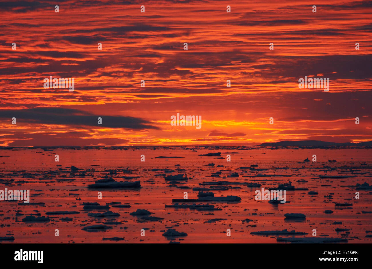 Pack ice at sunset, Greenland Stock Photo - Alamy