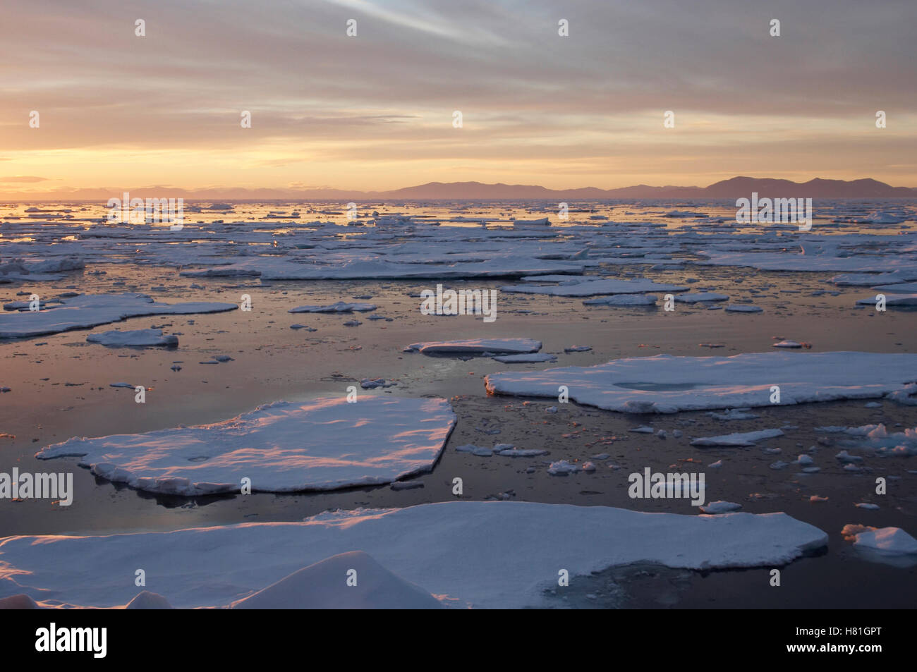 Sunset over ice floes, Greenland Stock Photo - Alamy