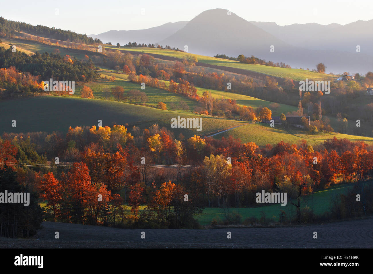 Bocage landscape, Vercors Regional Natural Park, France Stock Photo - Alamy