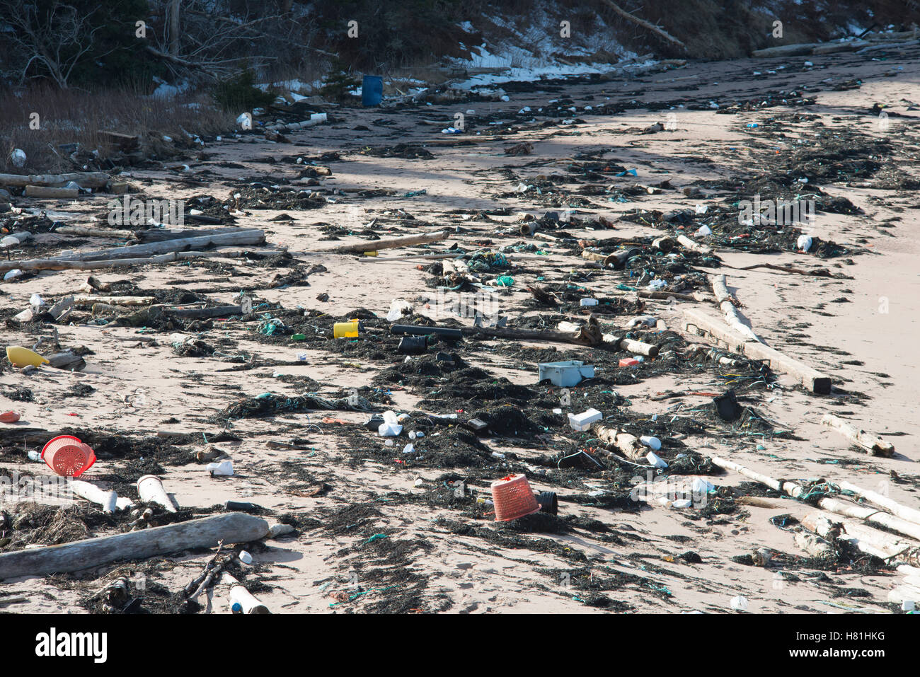 Garbage washed up on beach, Bay of Fundy, Nova Scotia, Canada Stock ...