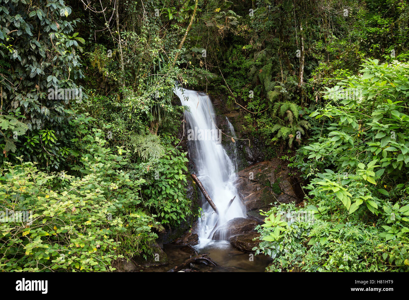 Waterfall in rainforest, Ranomafana National Park, Madagascar Stock ...