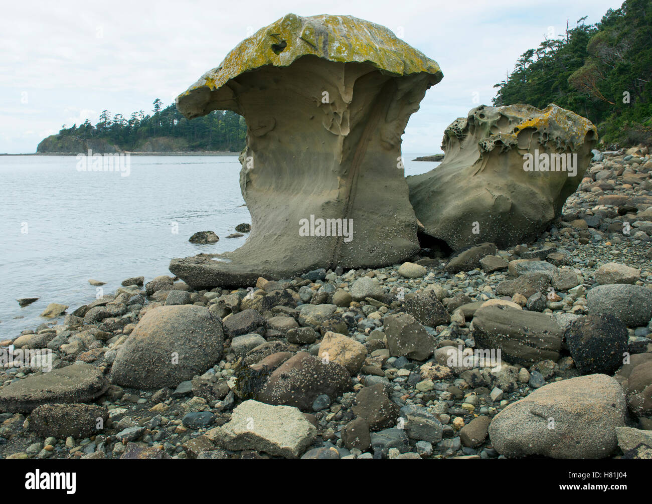 Eroded boulder called mushroom rock, upper Cretaceous marine sediments ...