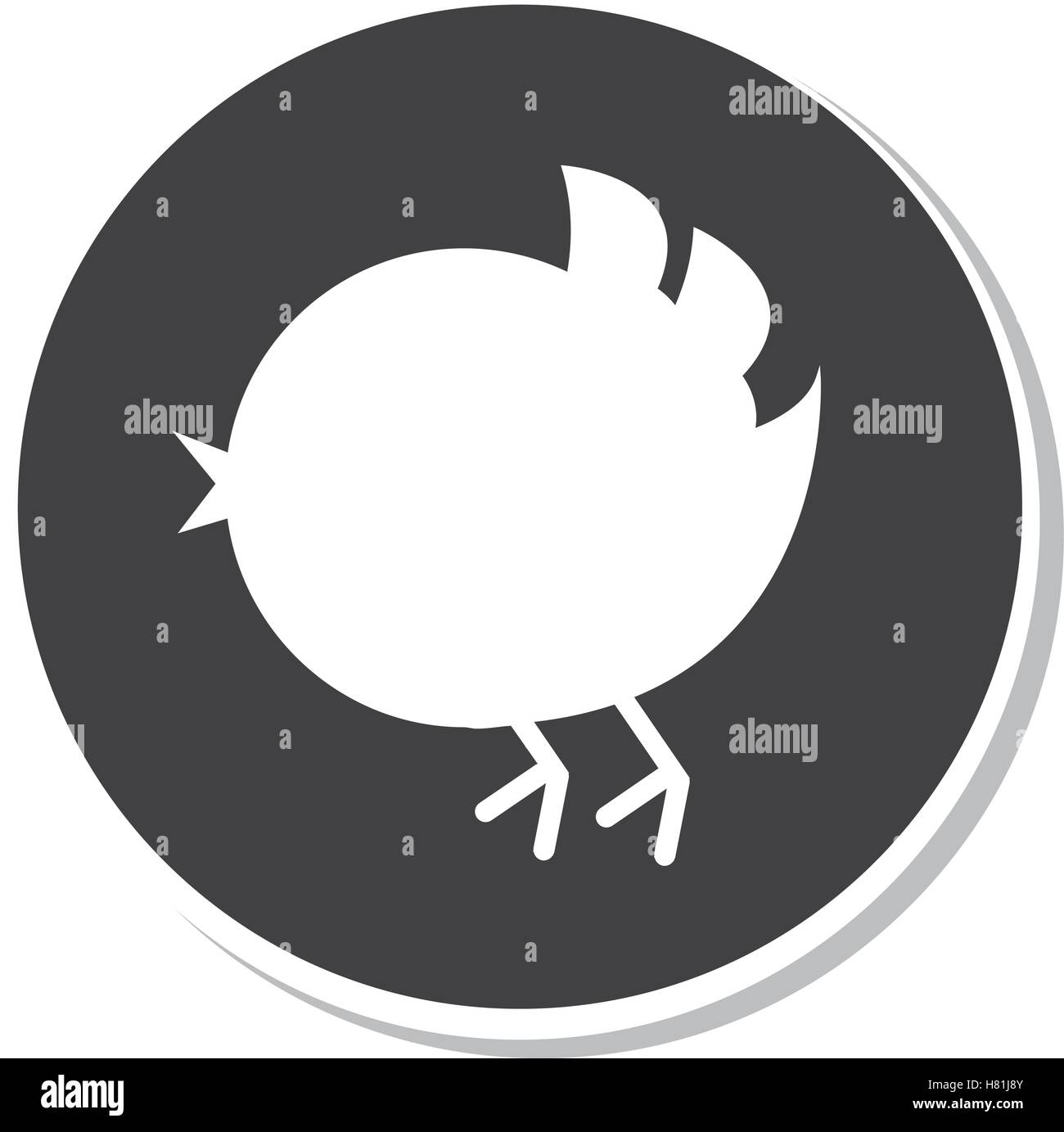 bird animal signal over white background vector illustration Stock ...