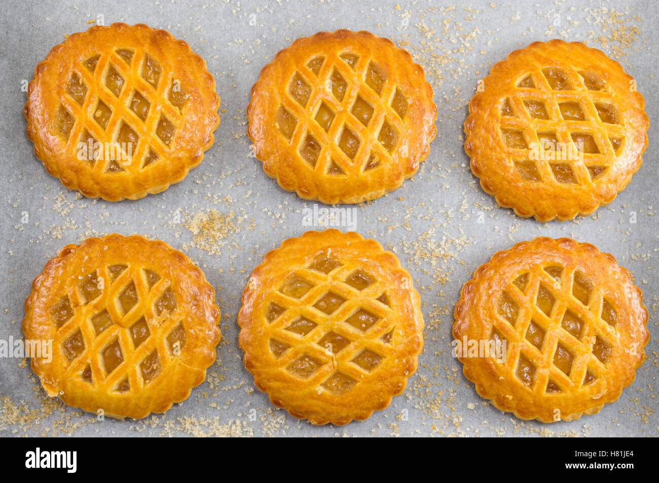 Sweet apple pie round cookies on cooking paper Stock Photo - Alamy
