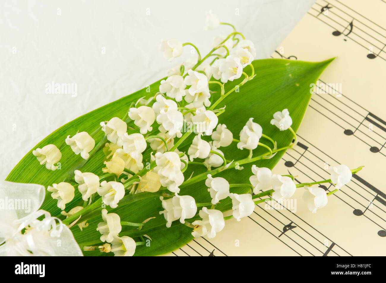 Music notes flowers hi-res stock photography and images - Alamy