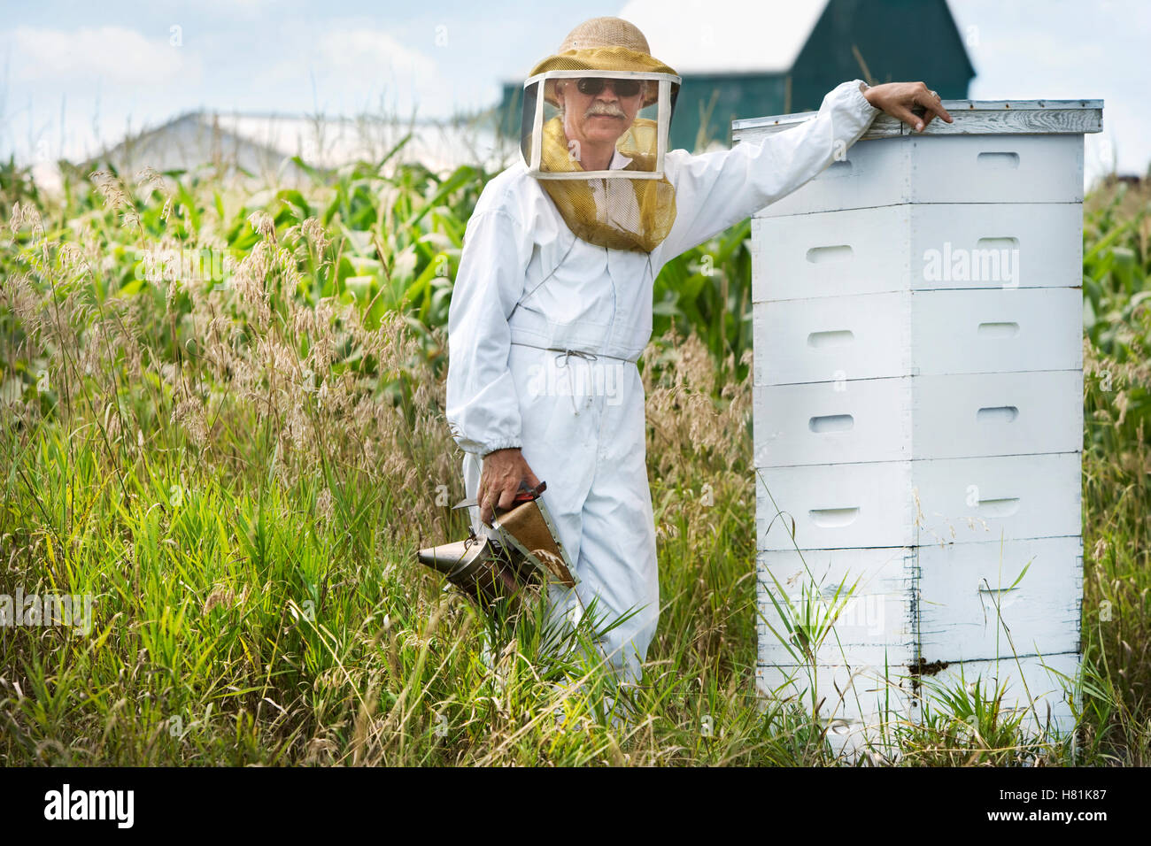 Beekeeper standing beside hive hi-res stock photography and images - Alamy