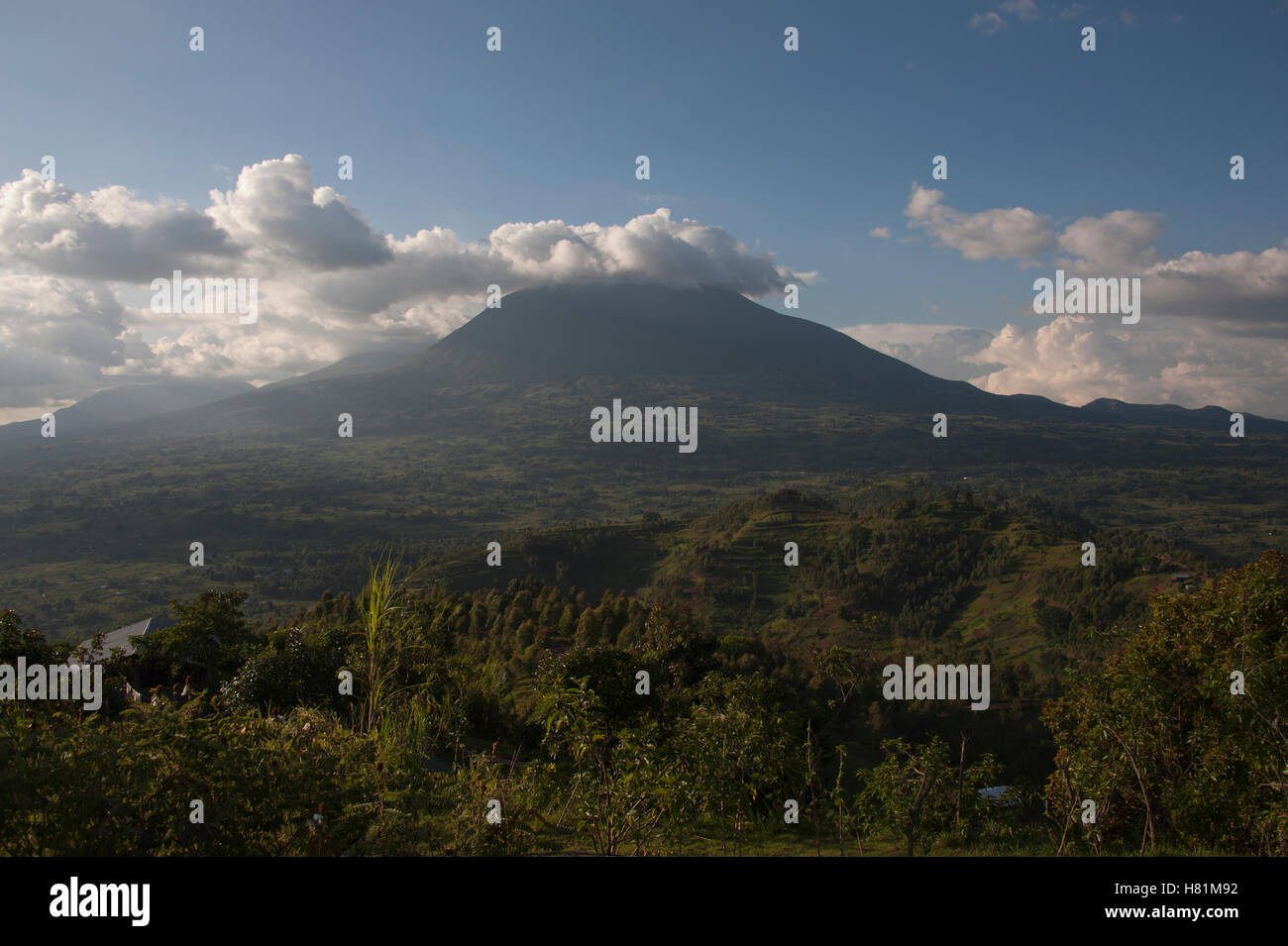 Virunga Mountains, Parc National des Volcans, Rwanda Stock Photo - Alamy