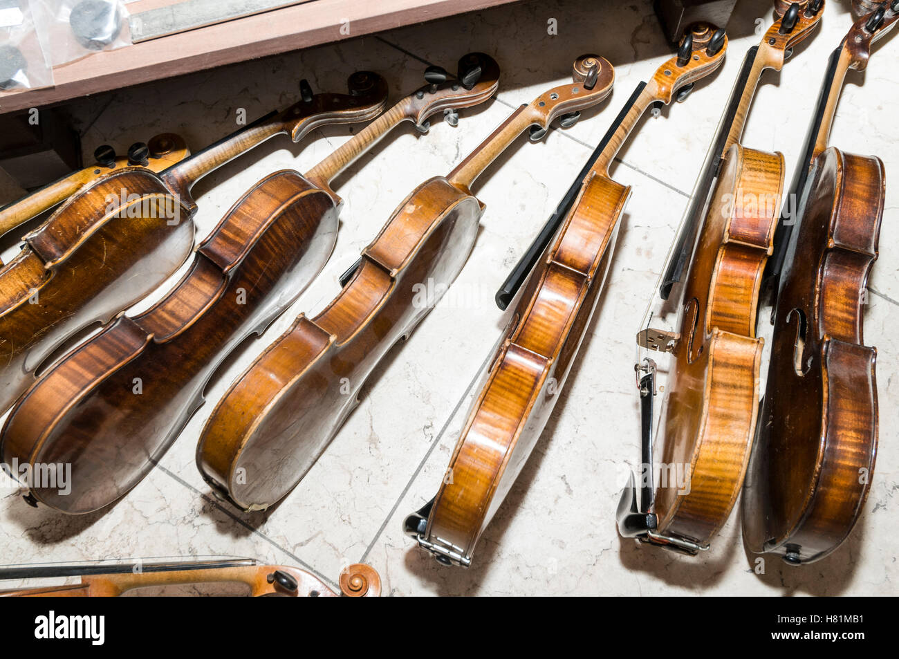 A row of violins waiting for repairs at a musical instrument specialist ...