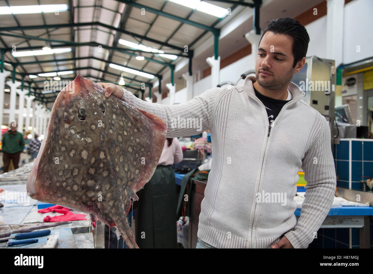 Seafood on the market in Setubal, Portugal, Europe Stock Photo - Alamy