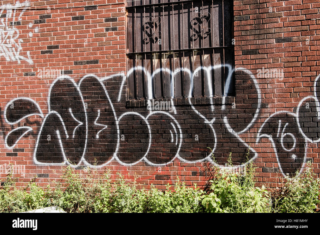 Graffiti, street art, Philadelphia, Pennsylvania, USA Stock Photo - Alamy