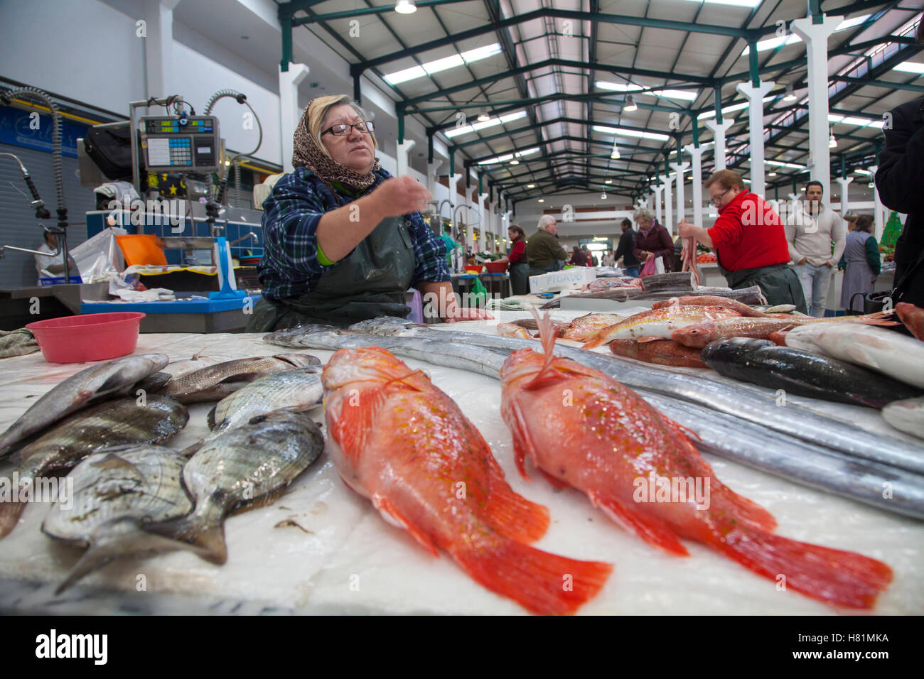 Seafood on the market in Setubal, Portugal, Europe Stock Photo - Alamy