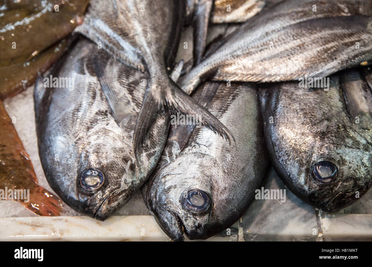 Seafood on the market in Setubal, Portugal, Europe Stock Photo - Alamy
