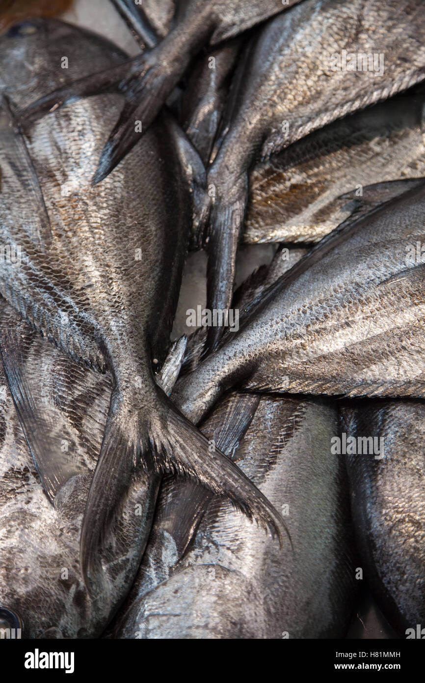 Seafood on the market in Setubal, Portugal, Europe Stock Photo - Alamy