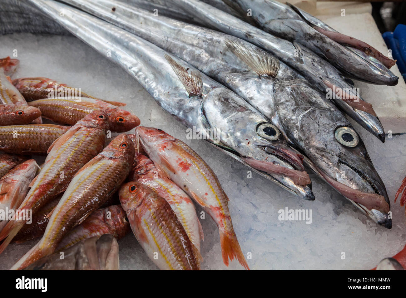Seafood on the market in Setubal, Portugal, Europe Stock Photo - Alamy
