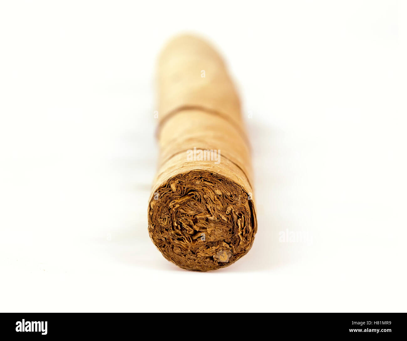 Cuban cigar isolated on white background Stock Photo - Alamy