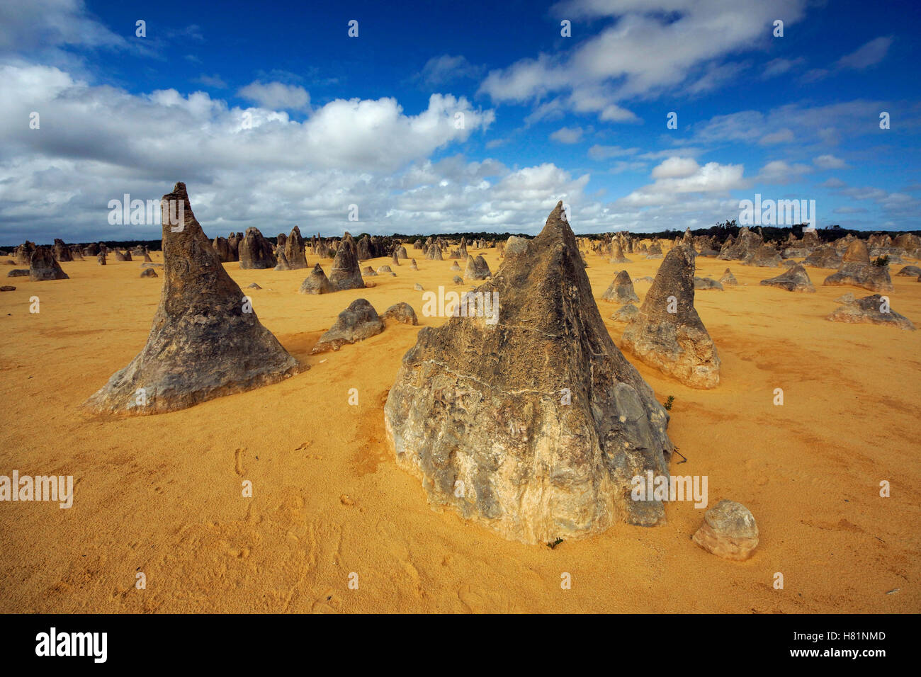 Limestone pinnacles in desert, Nambung National Park, Western Australia ...