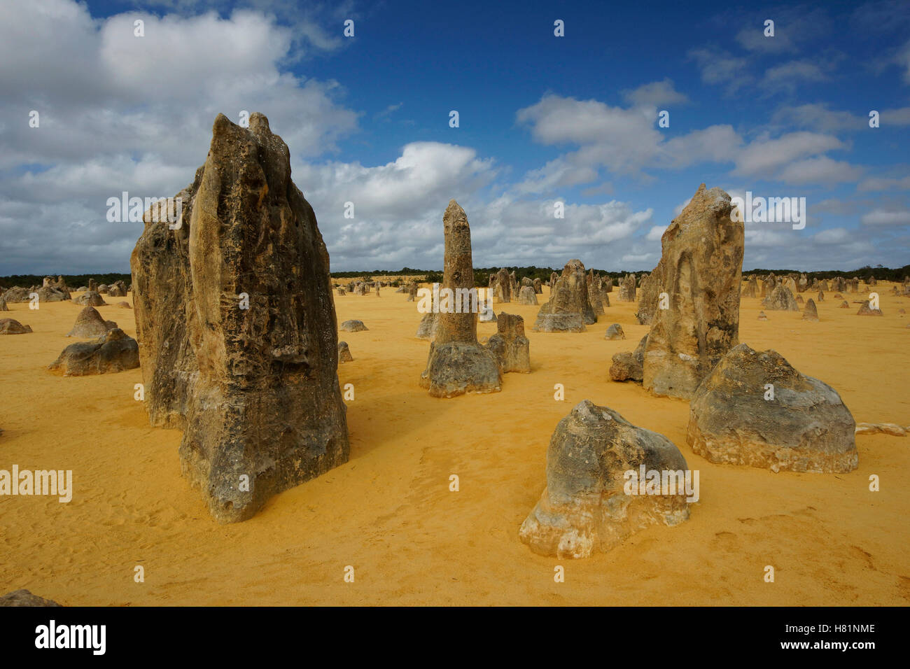 Limestone pinnacles in desert, Nambung National Park, Western Australia ...