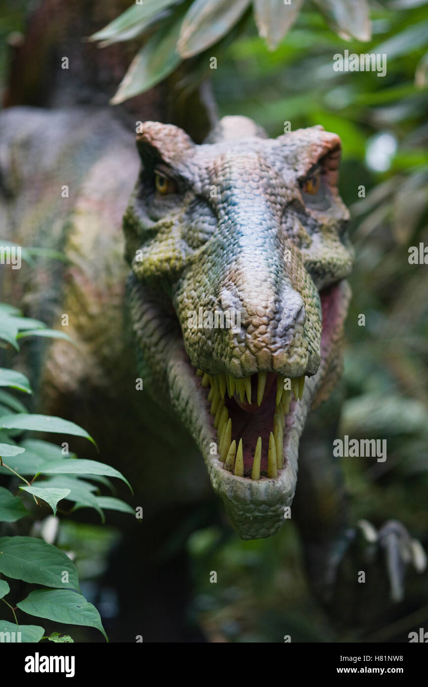 Raptor Dinosaur Stock Photos & Raptor Dinosaur Stock Images - Alamy