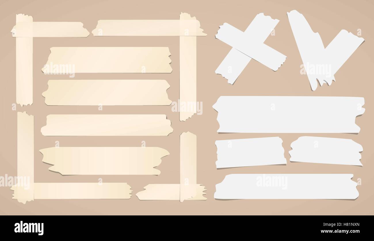 Brown and white different size sticky, adhesive masking tape Stock ...