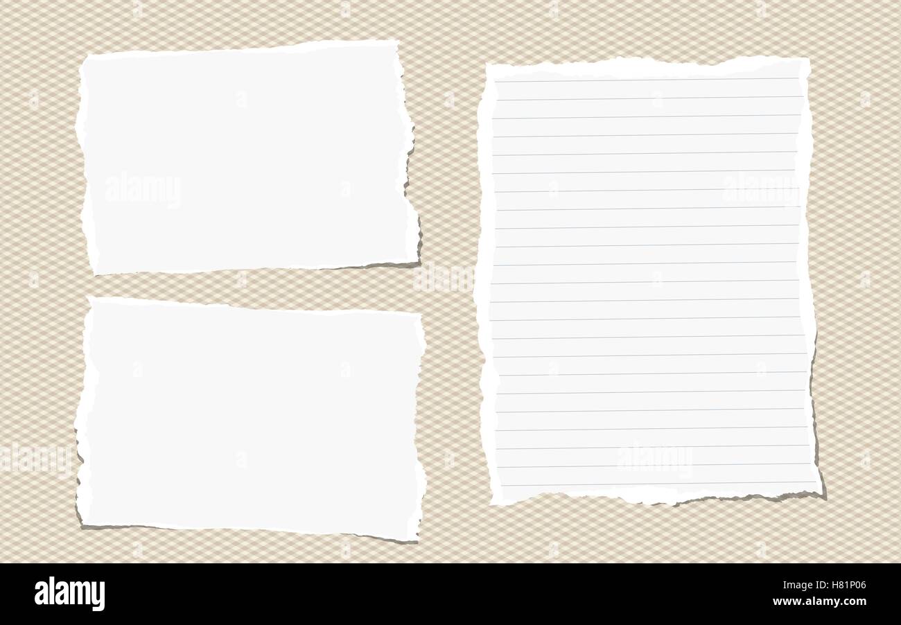 Pieces of white torn note, notebook paper sheets stuck on brown ...