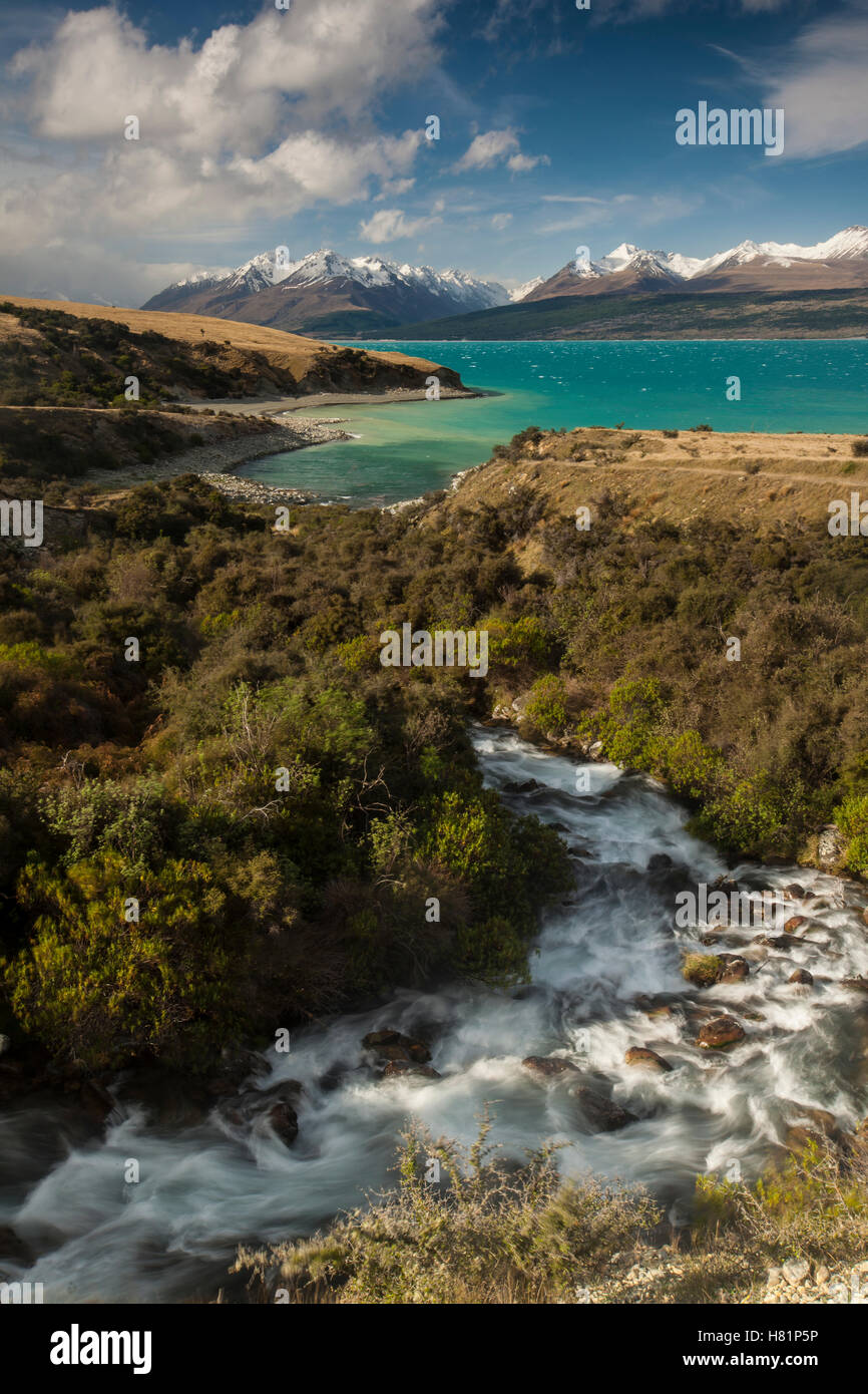 Stream entering Lake Pukaki, Mount Cook National Park, Canterbury, New ...