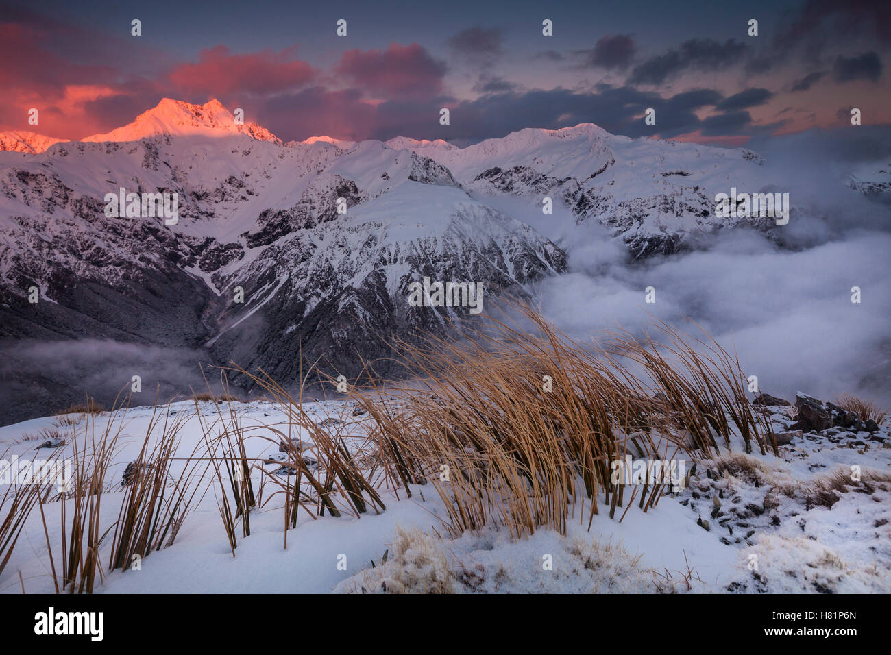 Mount Rolleston at dawn, Arthur's Pass National Park, Canterbury, New ...