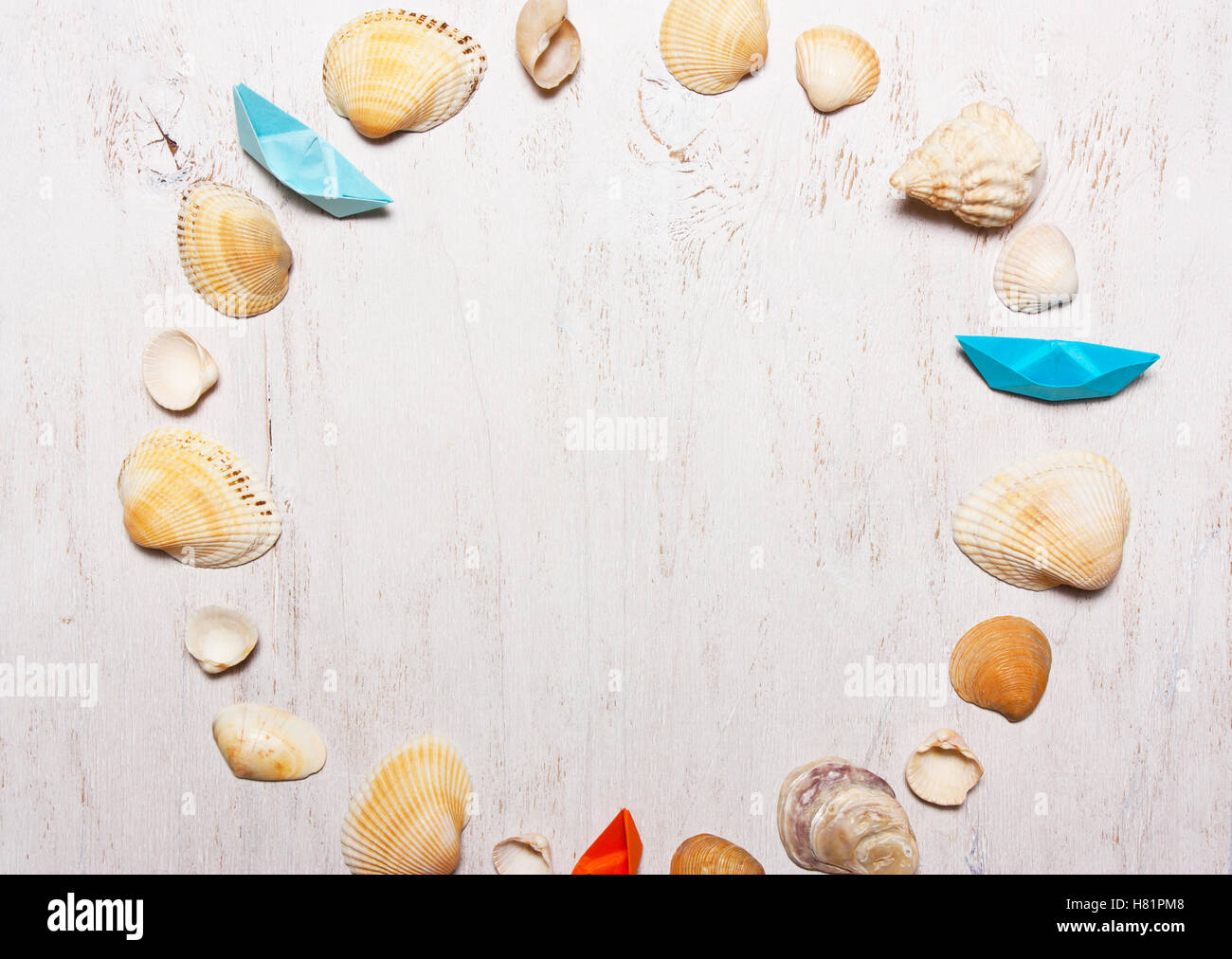 pattern, composition of shells on a white background, top view Stock ...