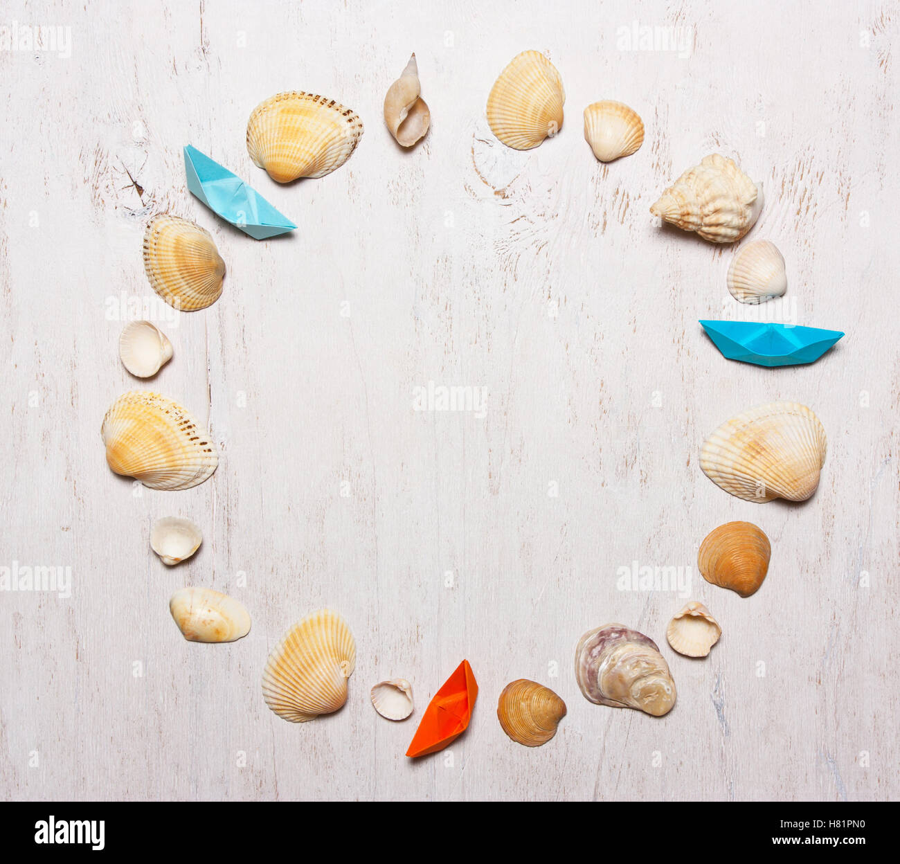 pattern, composition of shells on a white background, top view ...
