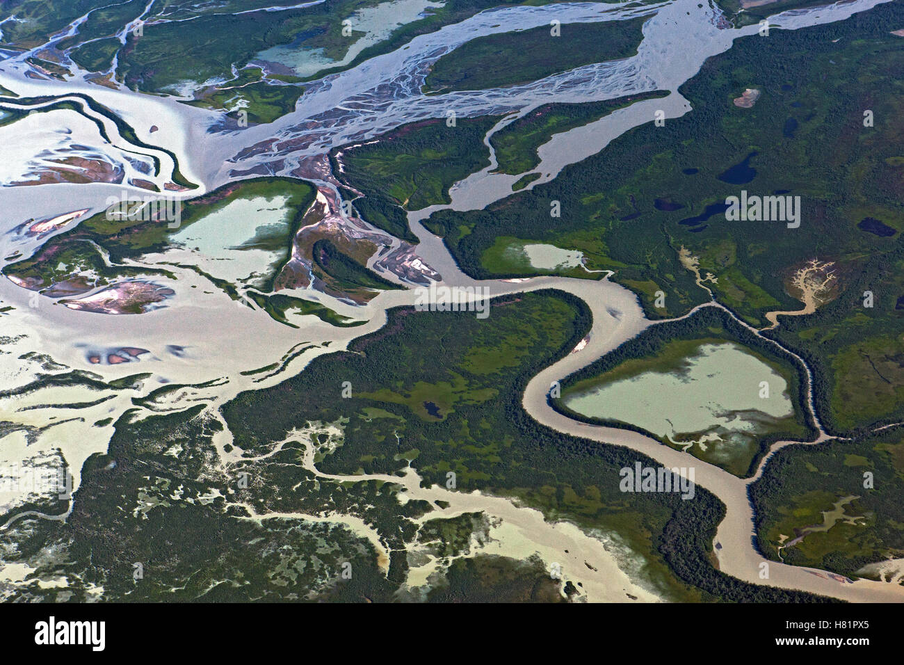 Coastal area with salt marsh and boreal forest, Cook Inlet, Alaska ...