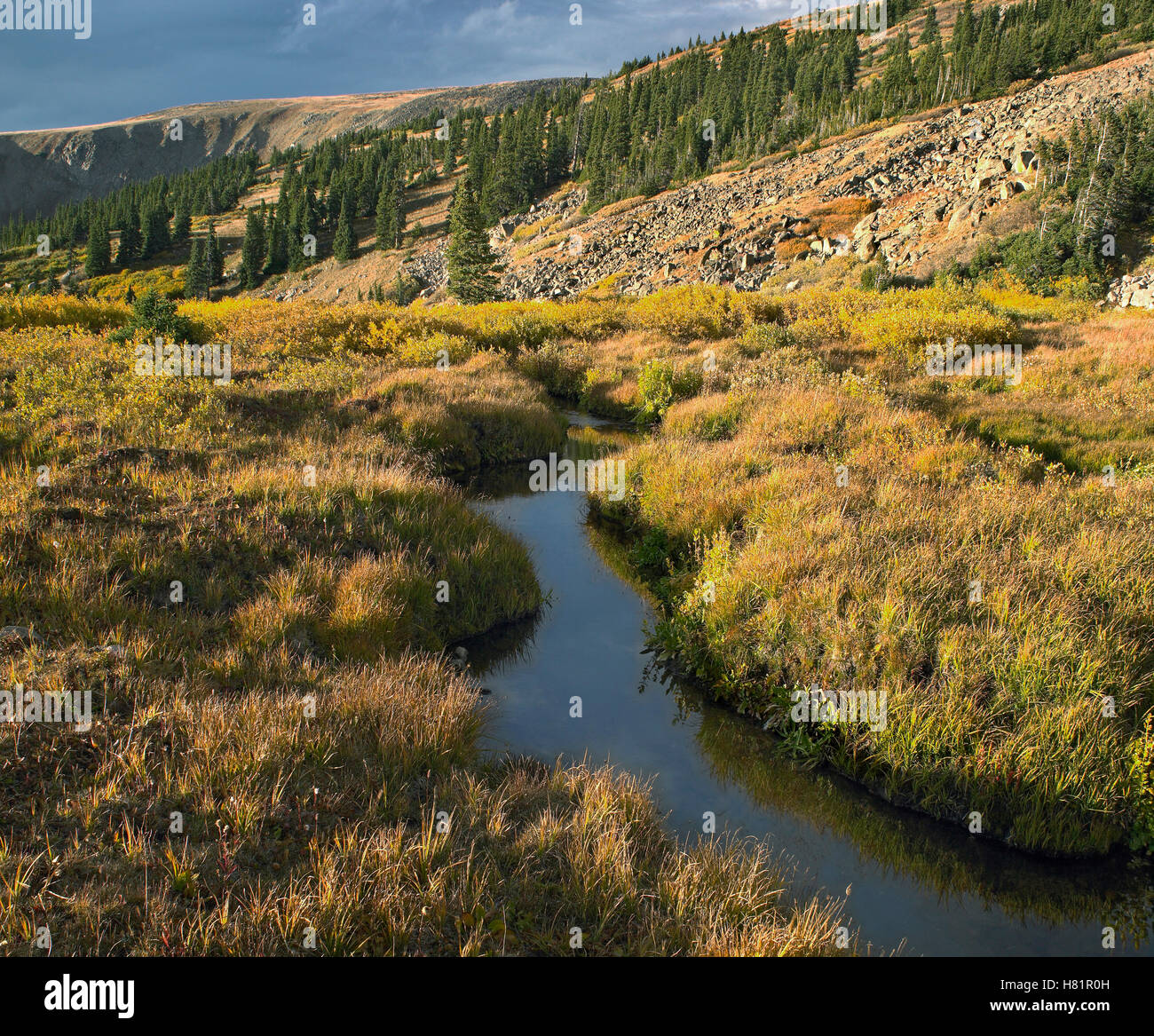 Alpine stream, Rollins Pass near Winter Park, Colorado Stock Photo - Alamy