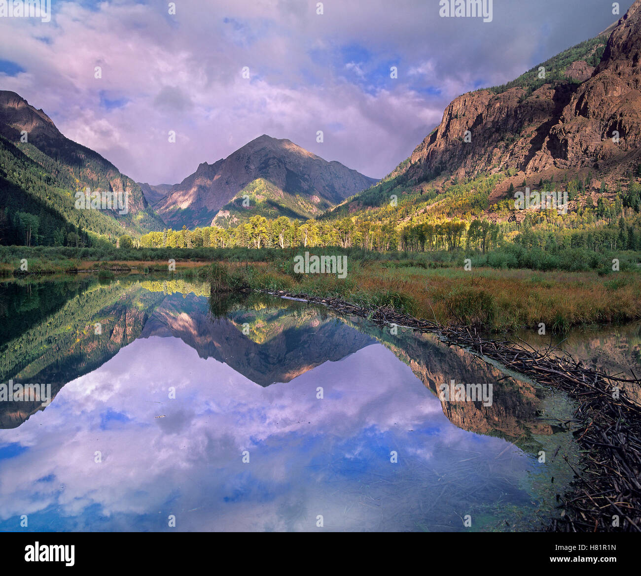 Handies Peak reflected in beaver pond, Maroon Bells-Snowmass Wilderness ...