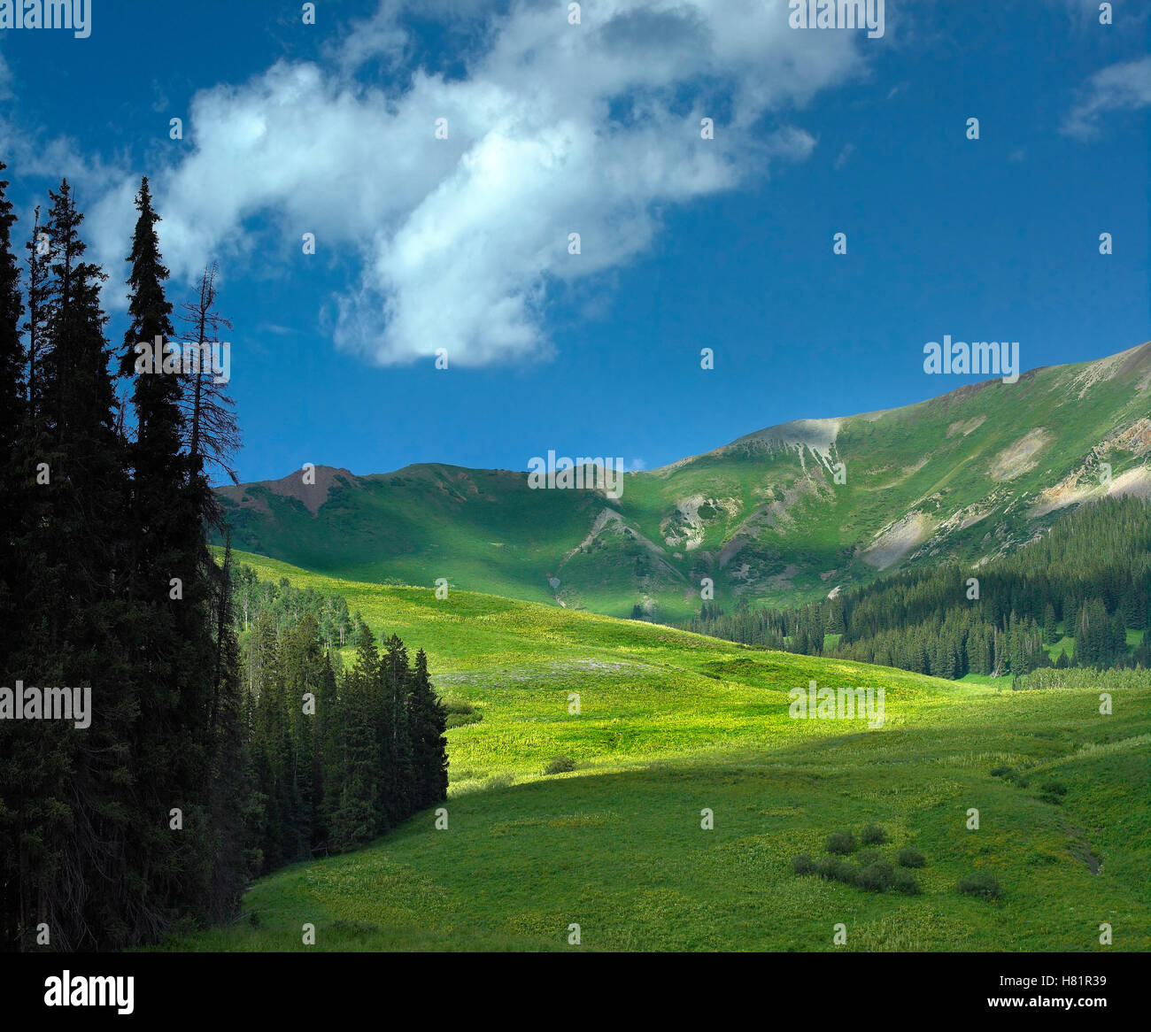 Elk Mountains near Crested Butte, Colorado Stock Photo - Alamy