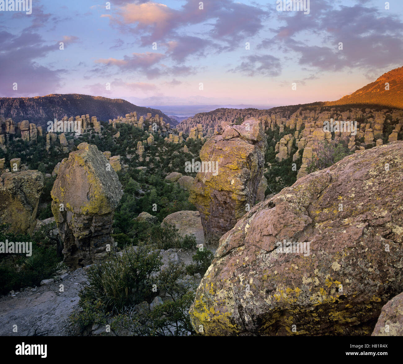 Pinnacles, Massai Point, Chiricahua National Monument, Arizona Stock ...