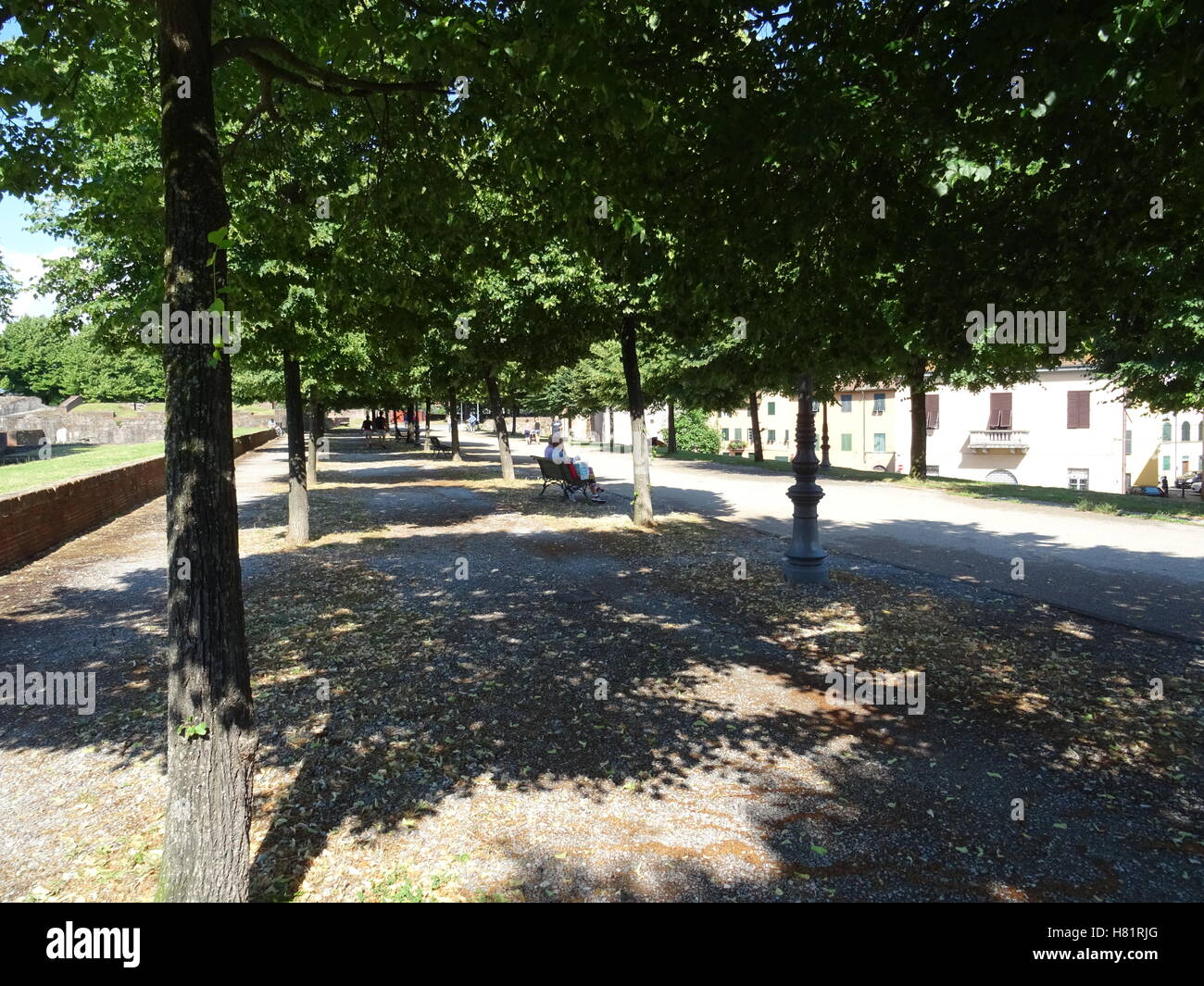 Pedestrian path around the walled town of Lucca Italy Stock Photo - Alamy